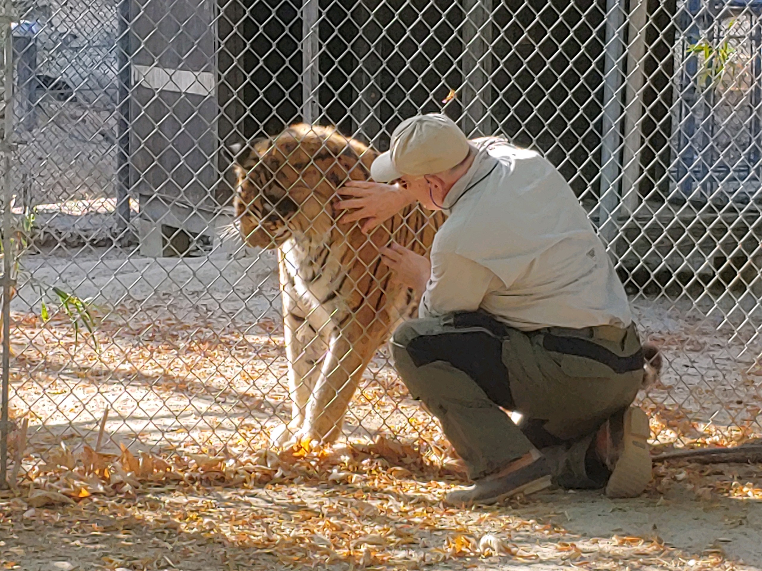 Wildlife Veterinary Care for Strong Animals | Wildlife DVM